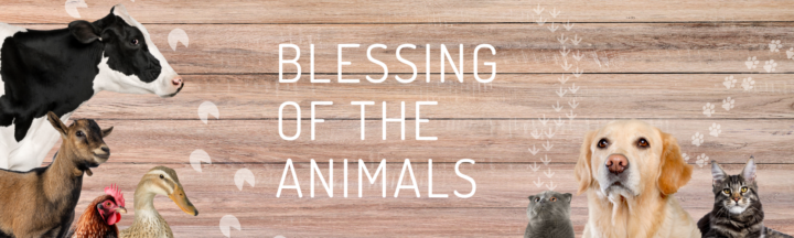Blessing of the Animals - Canadian Lutheran World Relief